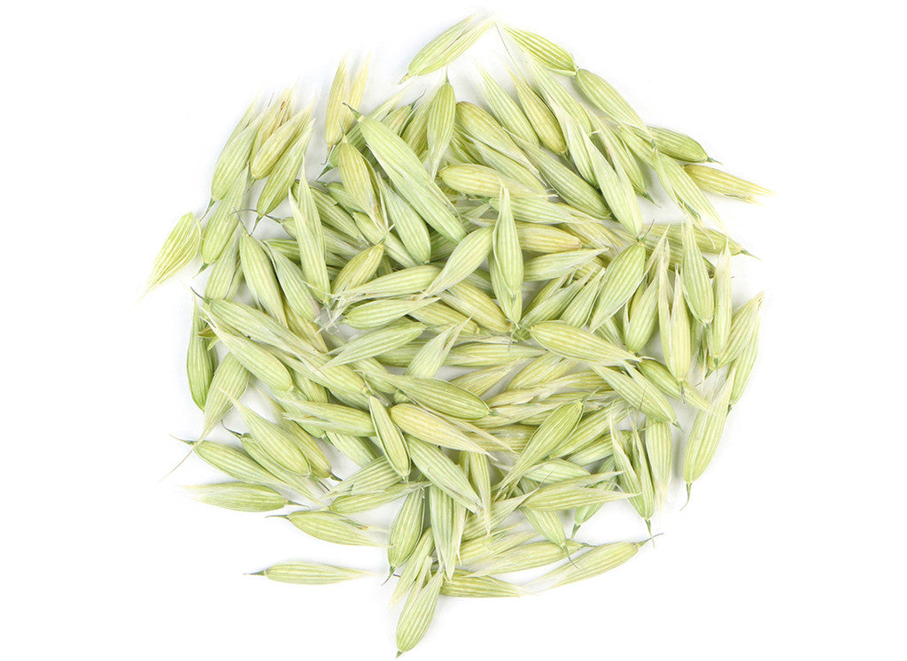 Oat Tops OG – Healing Leaf Apothecary